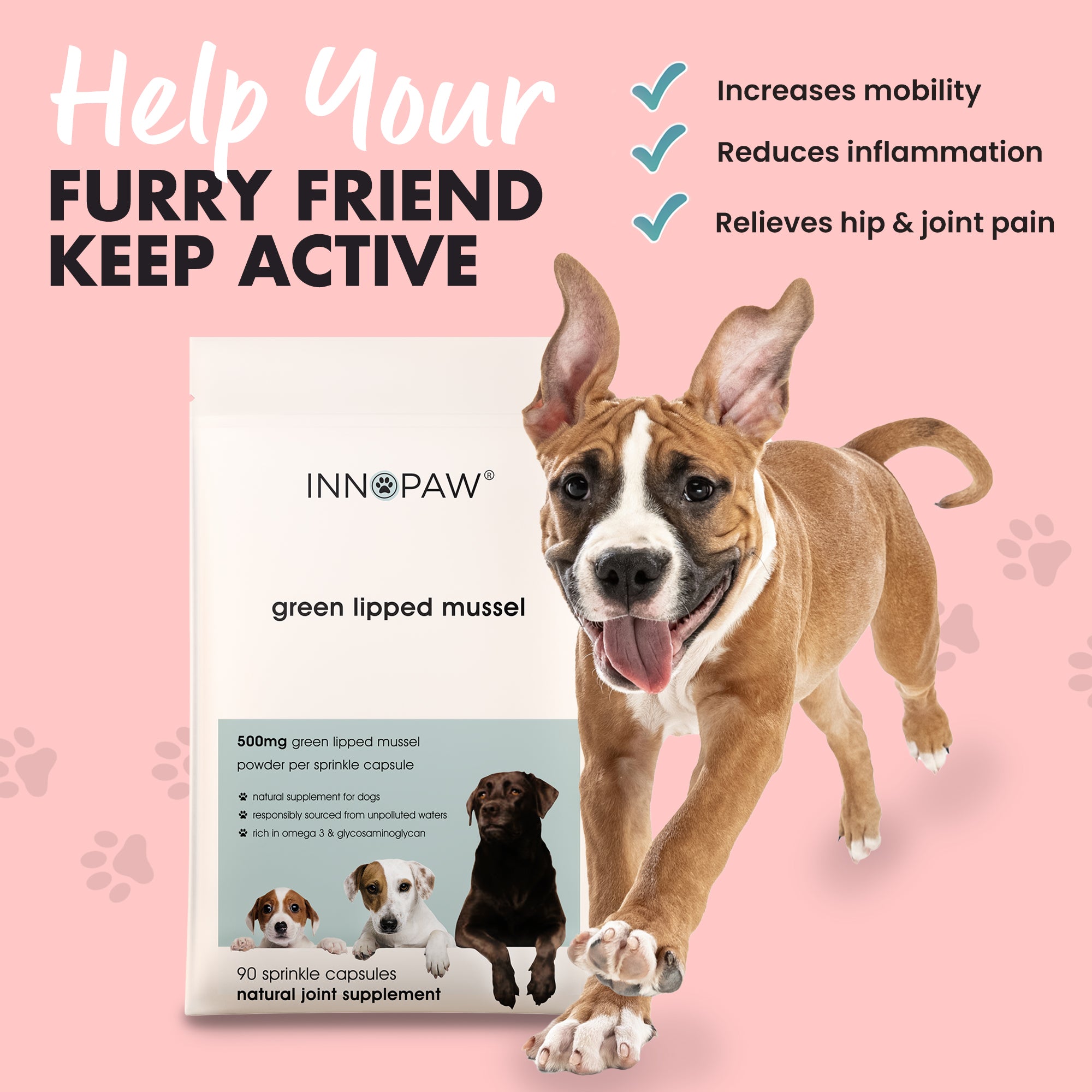 Green Lipped Mussel For Dogs ~ No fillers or binders – Innopure